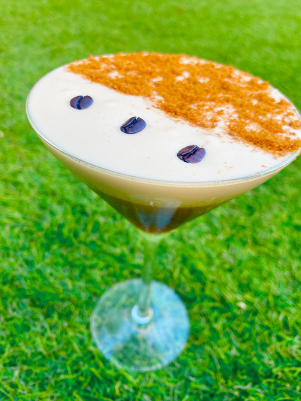 Salt Hamilton | Salt Hamilton