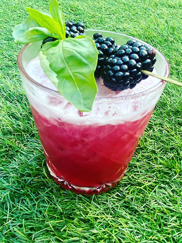 Salt Hamilton | Salt Hamilton