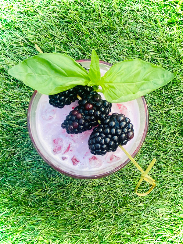 Salt Hamilton | Salt Hamilton